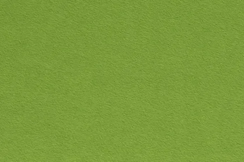 Groene vilt stoffen - De Stoffenkraam > Bestel uw stoffen online.